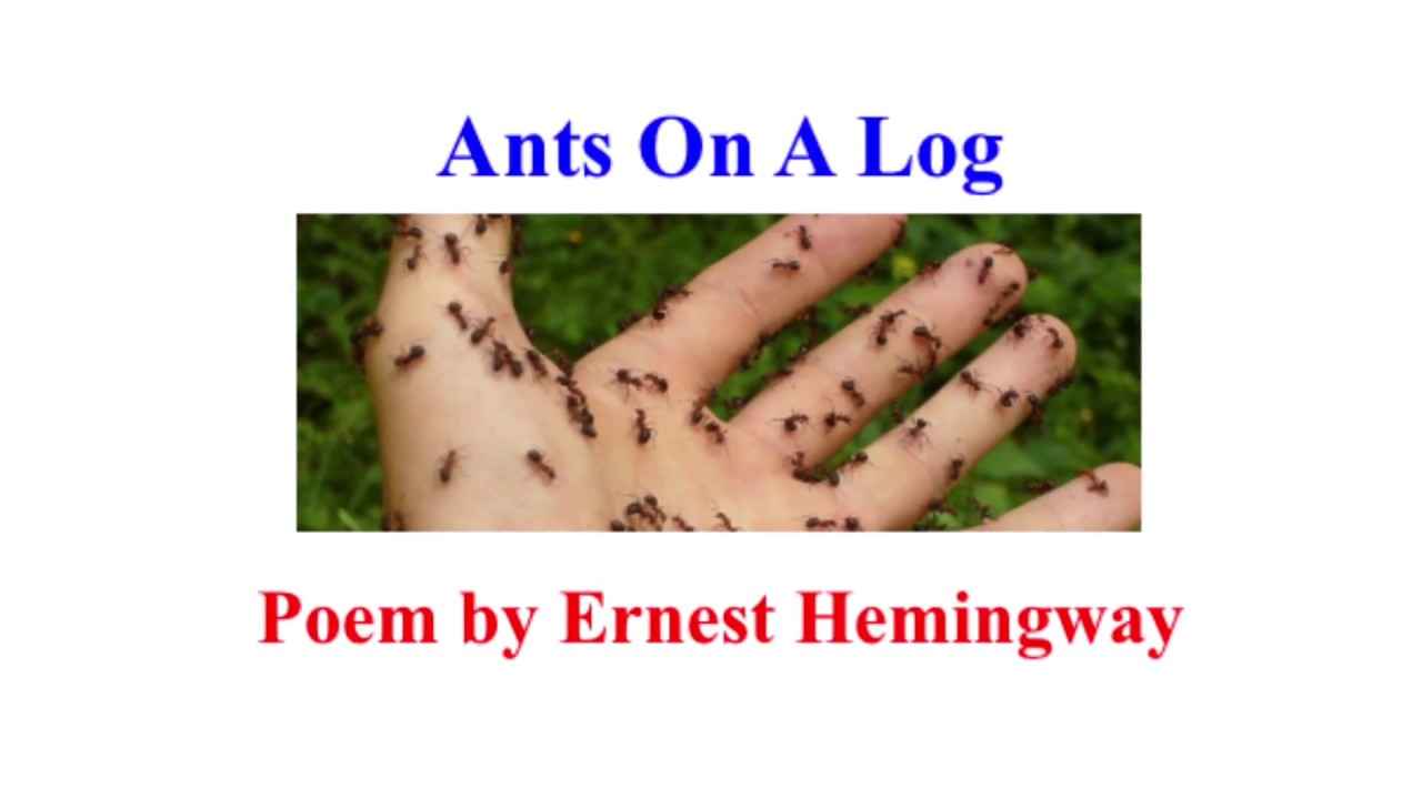 "Ants On A Log" Ernest Hemingway poem from A Farewell To Arms (Chaim ...