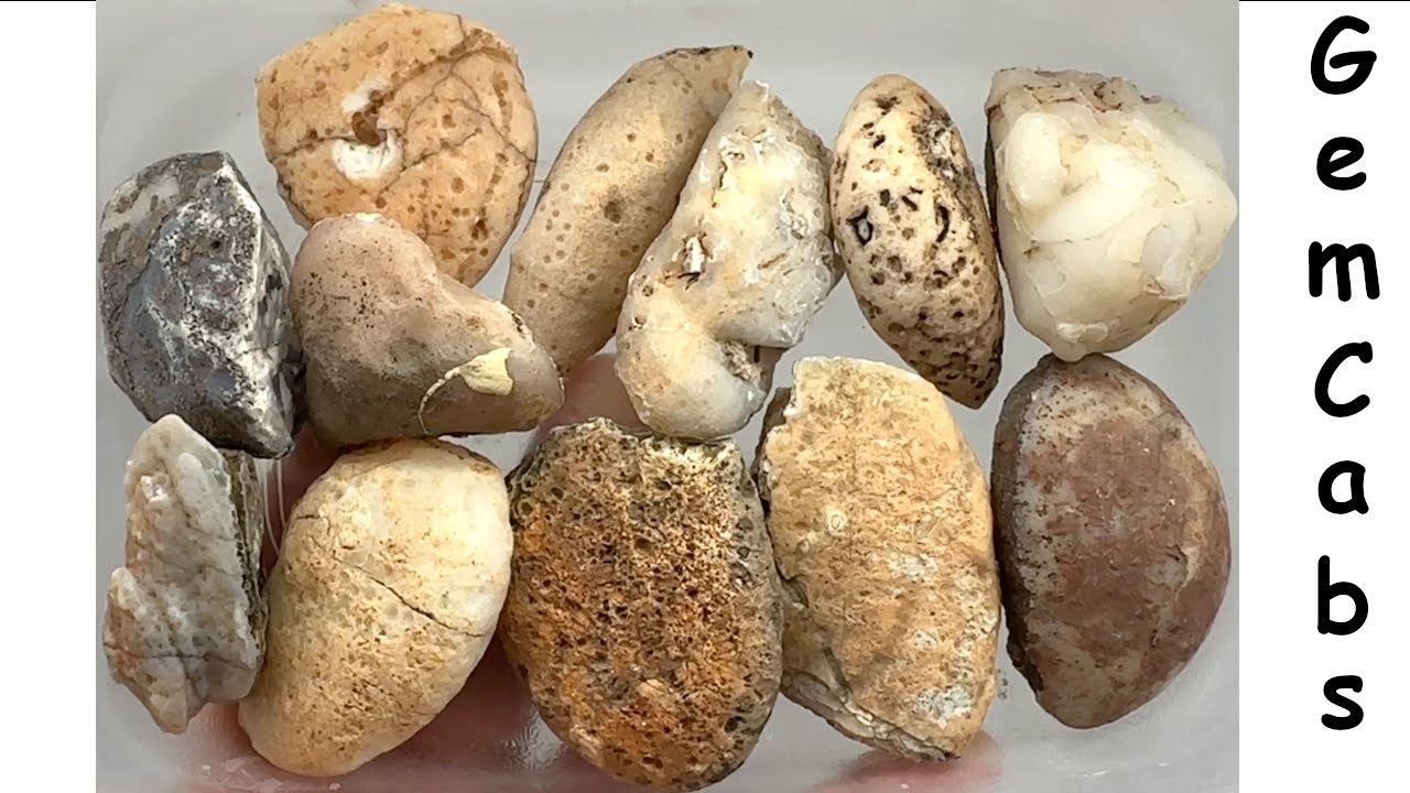 Group of Miscellaneous Arizona Rocks Cut Open to Reveal What is Hiding ...