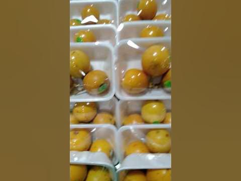 Sarap ng prutas - YouTube