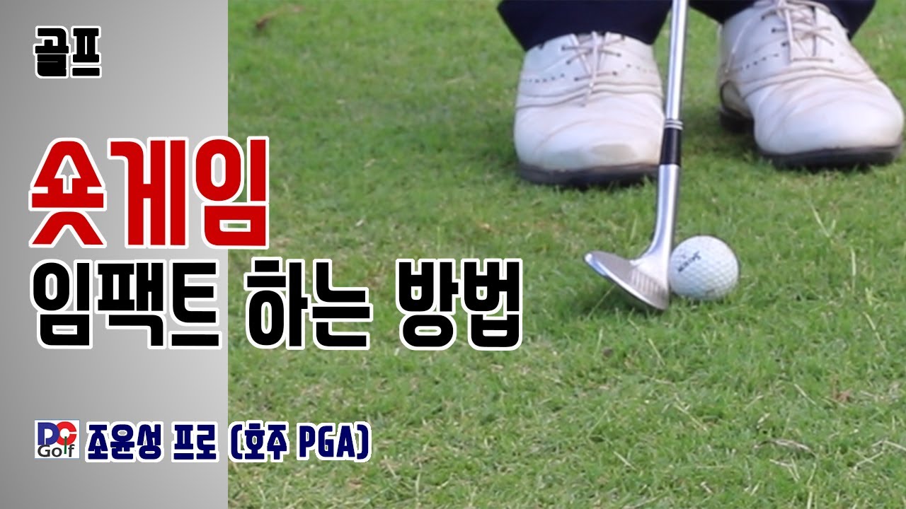 골프맨 숏게임 임팩트 하는 방법 몸으로 하는 숏게임 편과 같이 보세요 조윤성 프로 호주pga Youtube