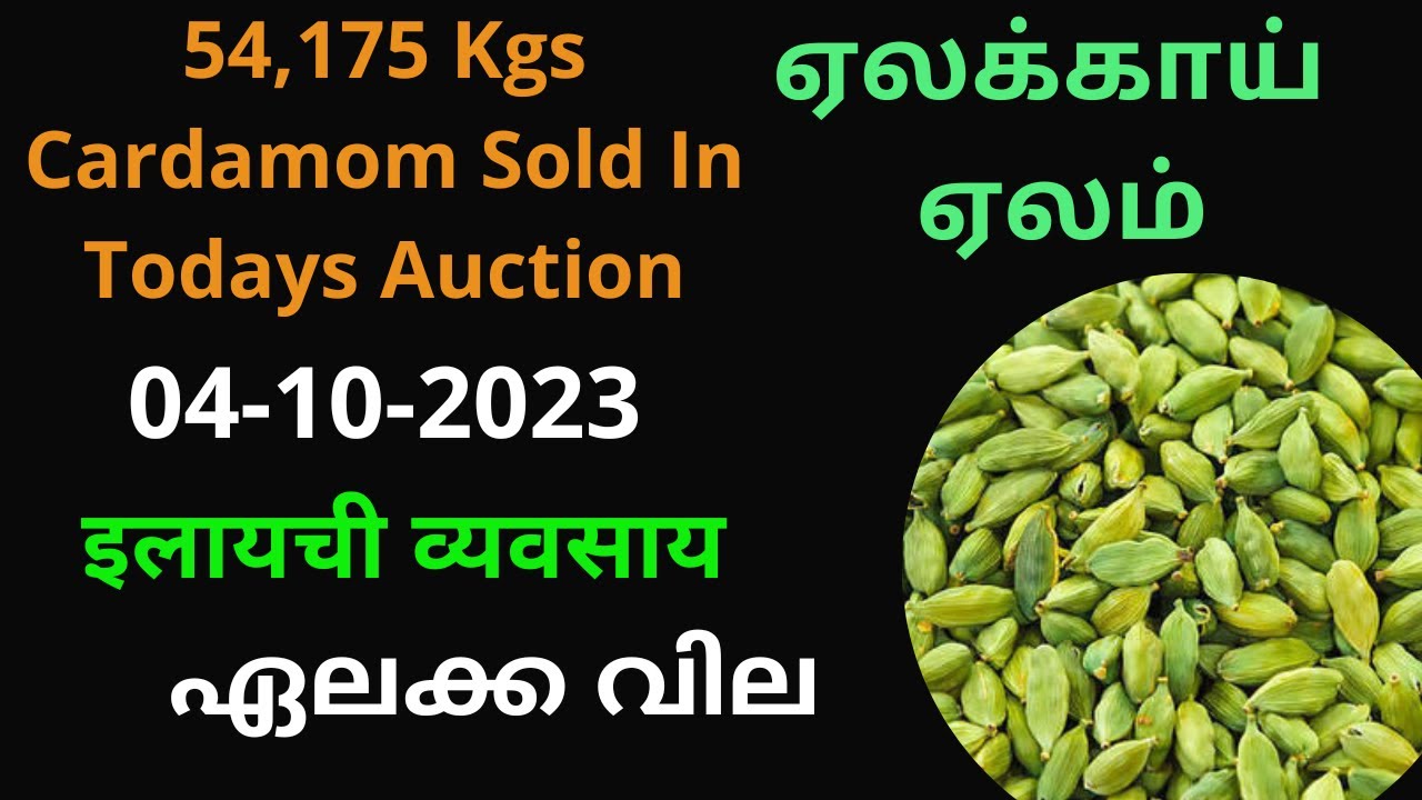 Todays Cardamom Price | इलायची व्यवसाय | ஏலக்காய் ஏலம் | Cardamom Rate ...