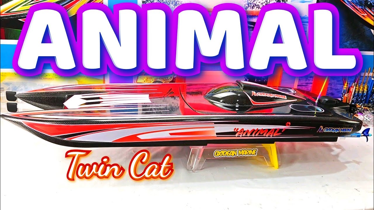 Super Fast Original 100+MPH Speed Run Rc Boat! Animal Twin Cat Custom ...