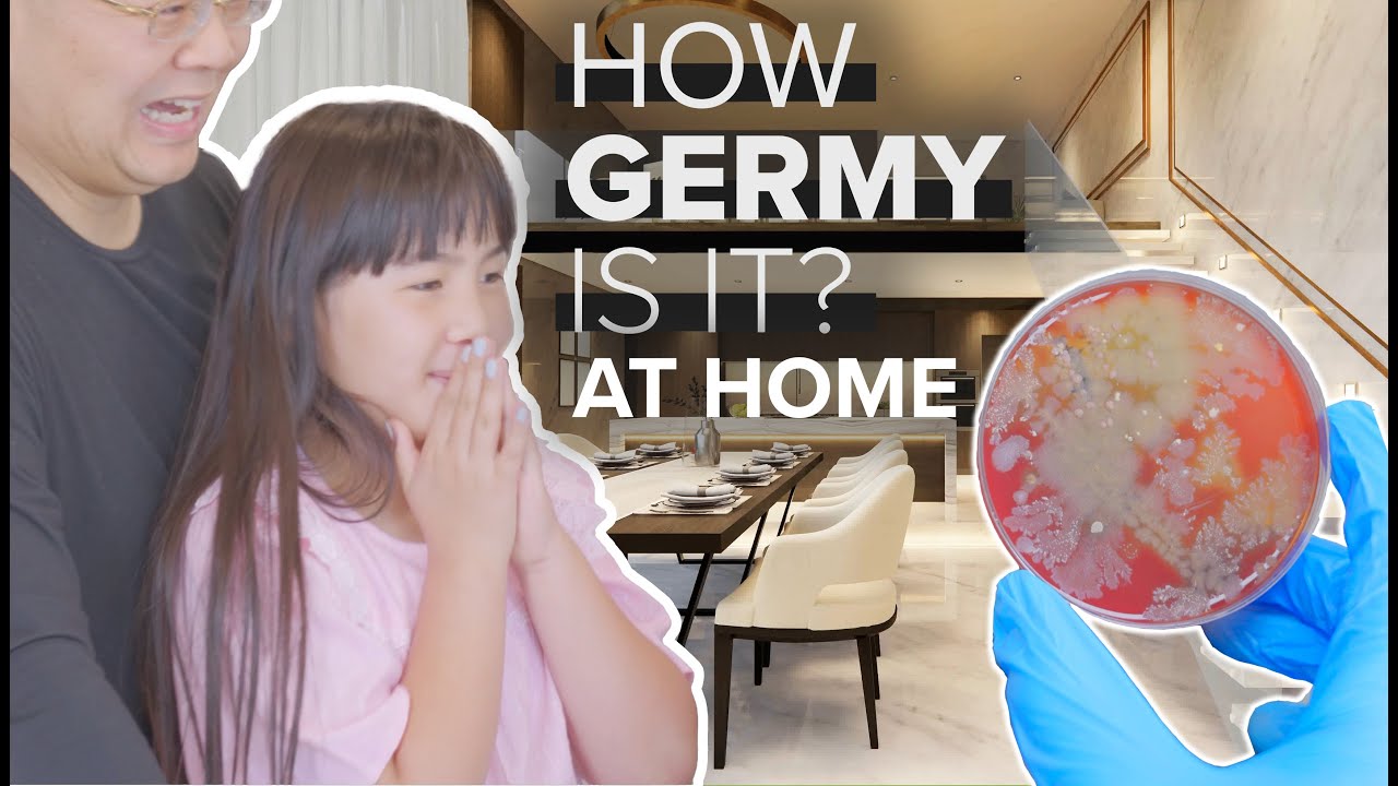 Family Edition of HOW GERMY IS IT? - YouTube