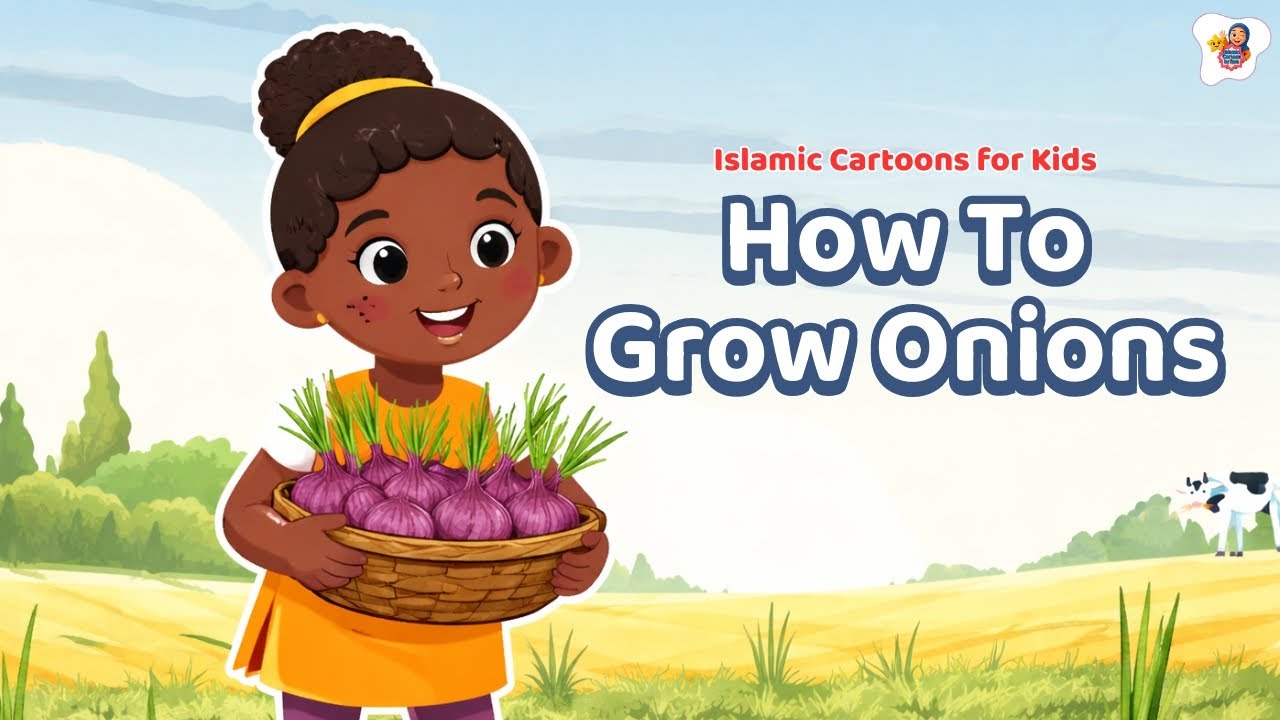 How To Grow Onions | Step by Step | Islamic Cartoon for Kids - YouTube