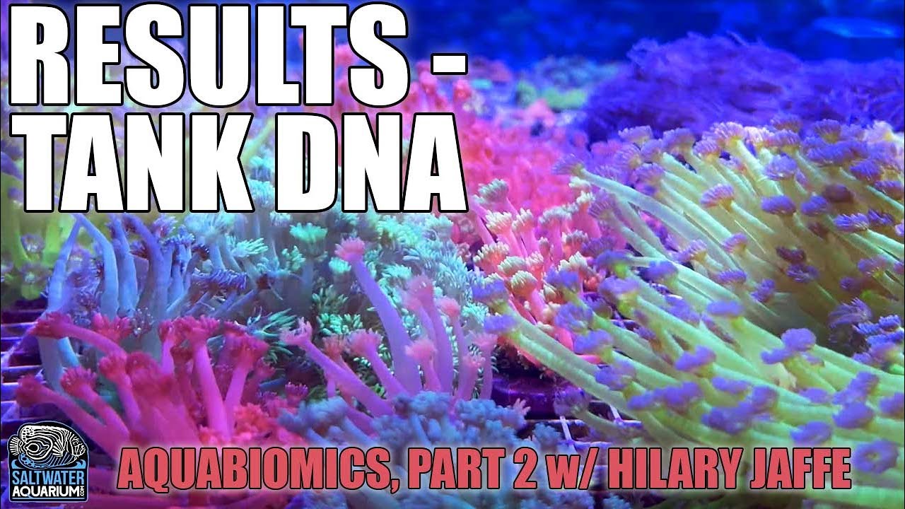 AquaBiomics, Part 2 - Results of My Tank's DNA - Hilary Jaffe - YouTube