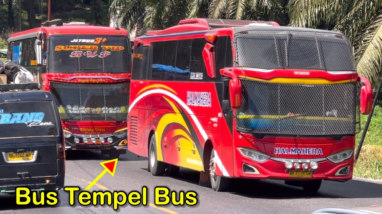 Bus kejar Bus Menyalip Truk Oleng Jemping Di Tanjakan Bukit Kodok - YouTube