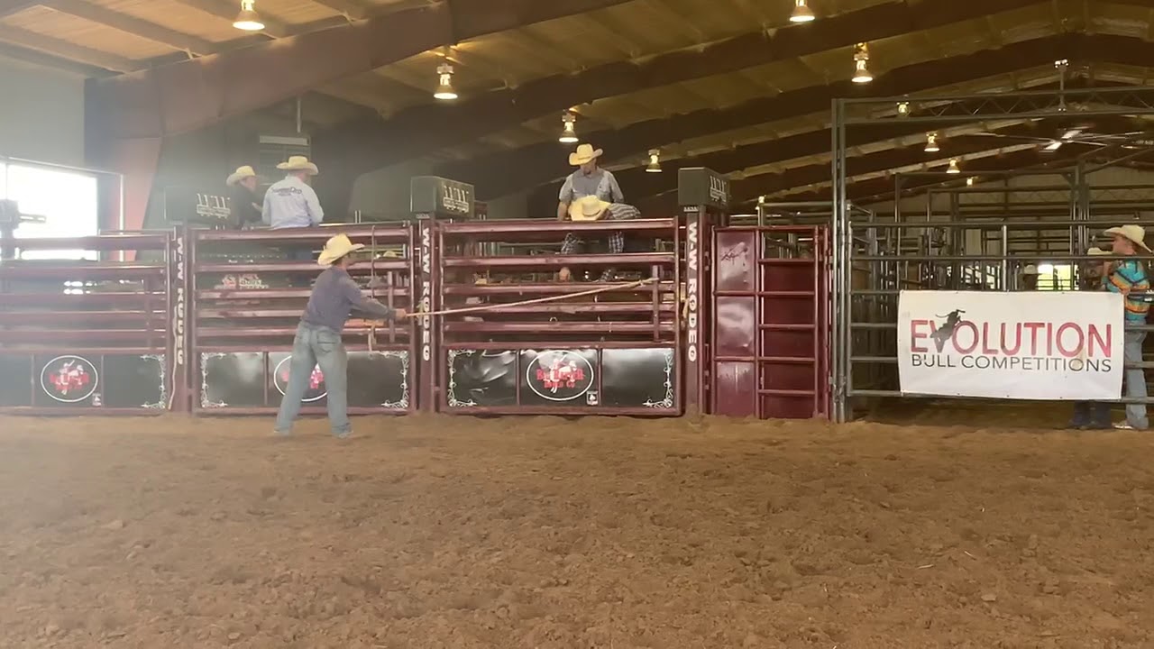 A1 - Evolution Bull Competition - YouTube