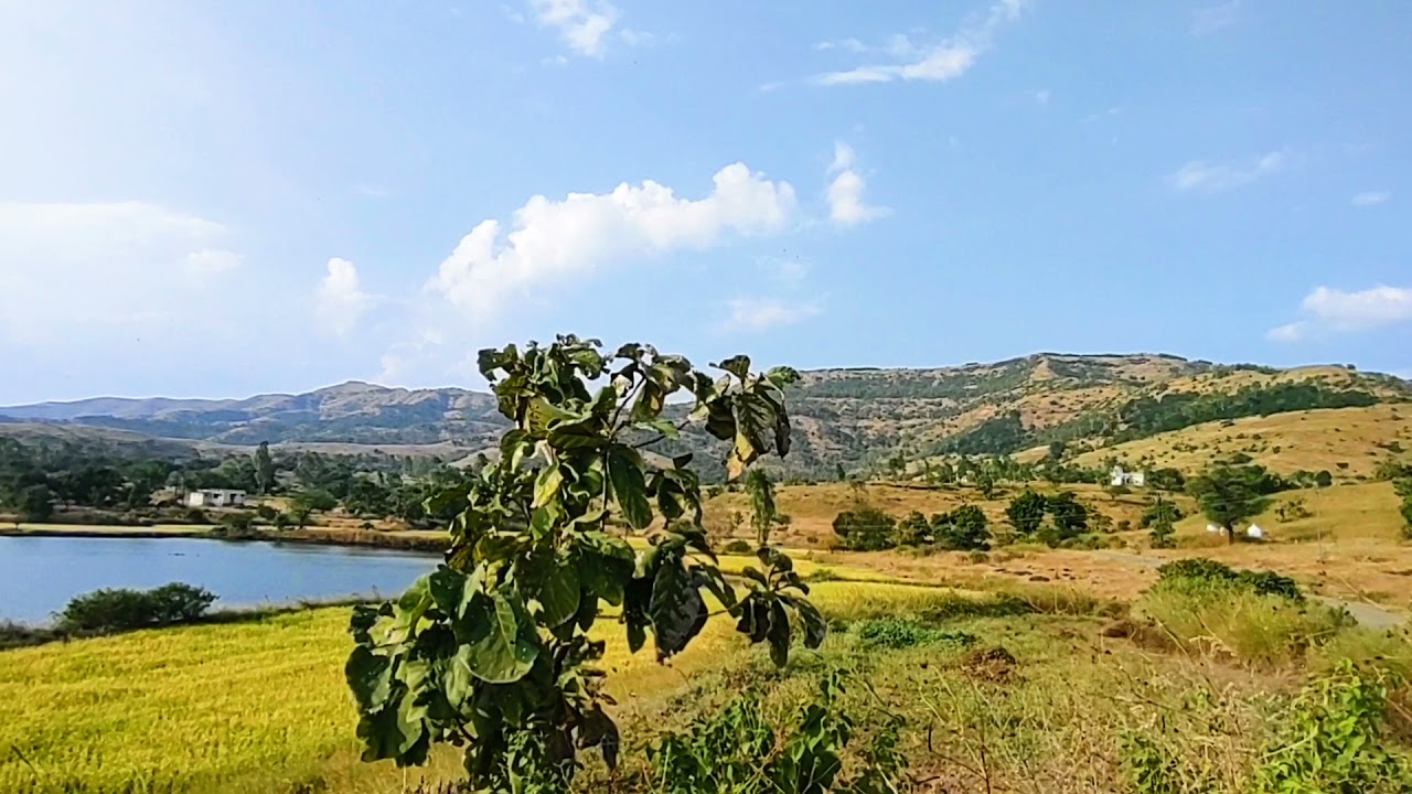 Beautiful sunny weather at Bhatghar Dam - YouTube