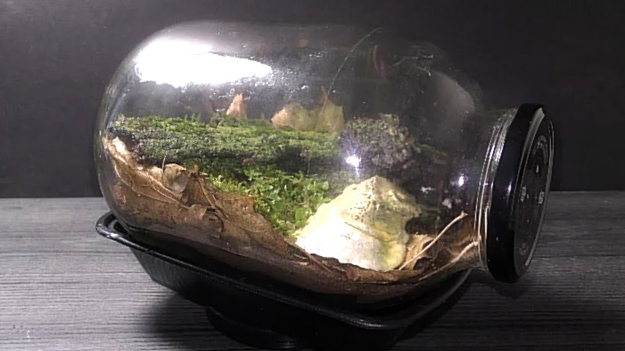 Tilted Jar Terrarium DIY - YouTube