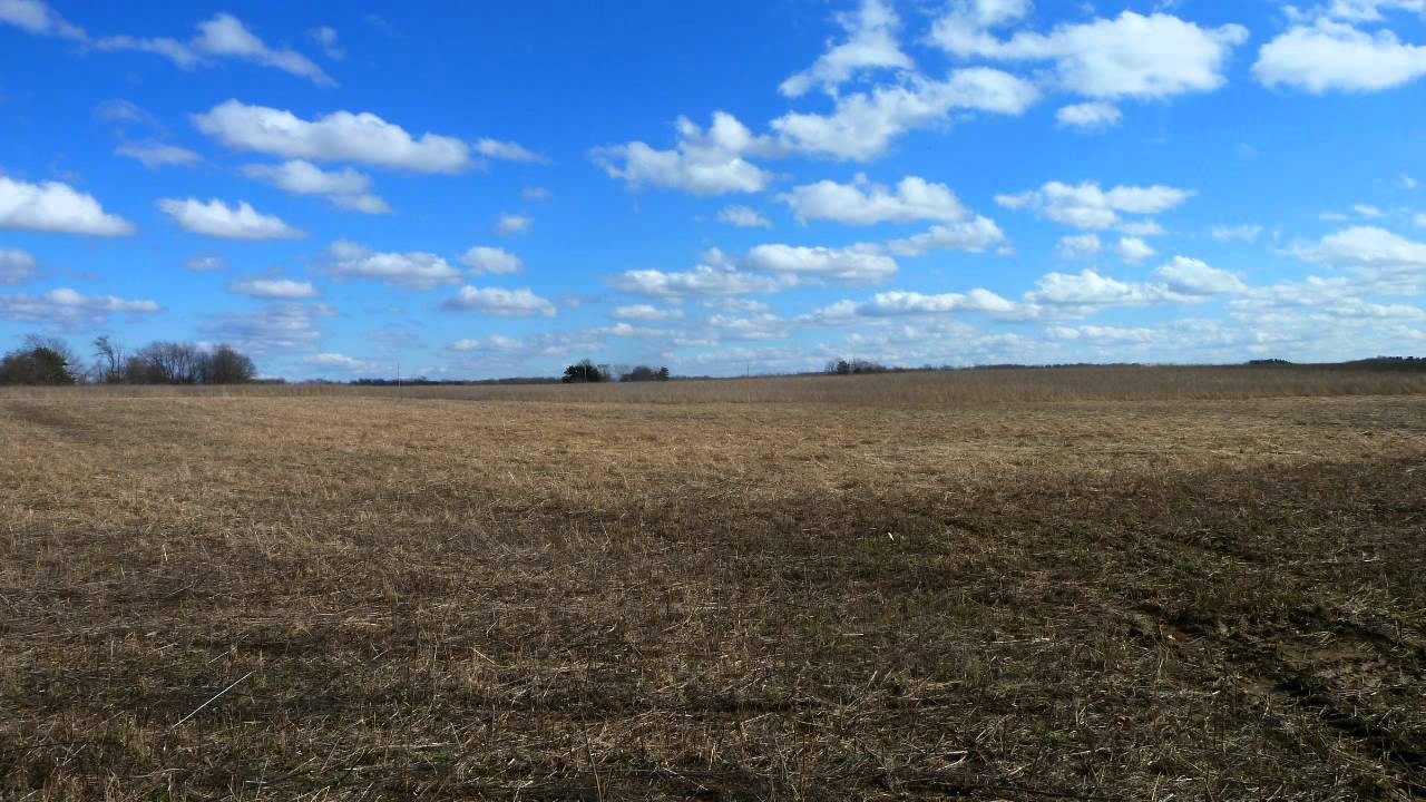 Hiking with Hope presents...Springfield Bog Metro Park - YouTube