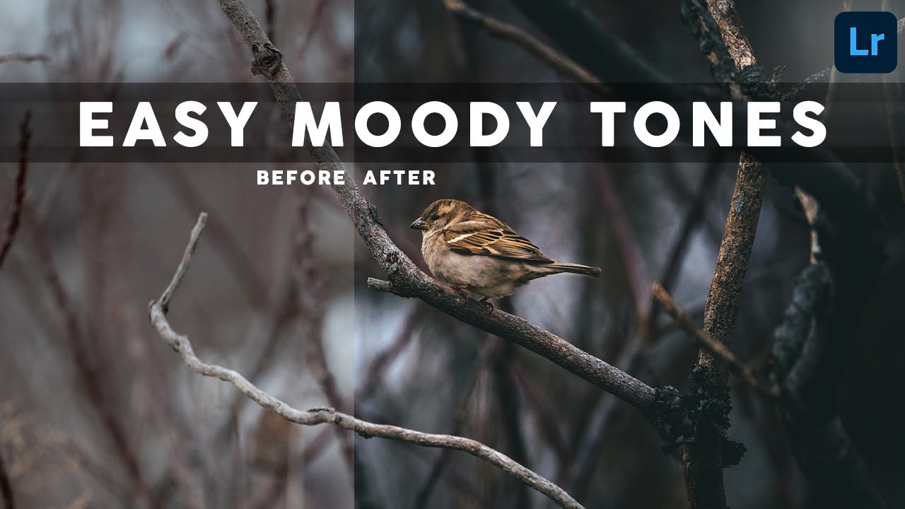 Easy Moody Tones in Adobe Lightroom CC - YouTube