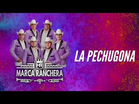 Marca Ranchera - La Pechugona (Cover)