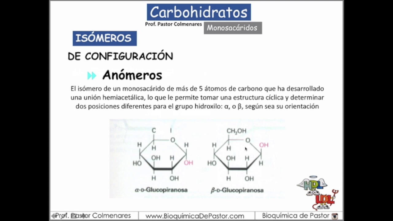 Monosacáridos | Carbohidratos Parte VIII - YouTube