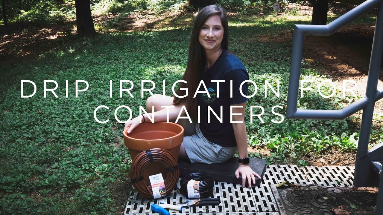 Drip Irrigation For Containers - YouTube