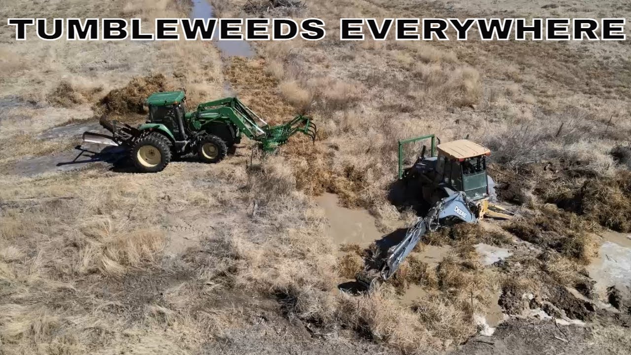 First Irrigation on the Farm (Tumbleweed Takeover) - YouTube