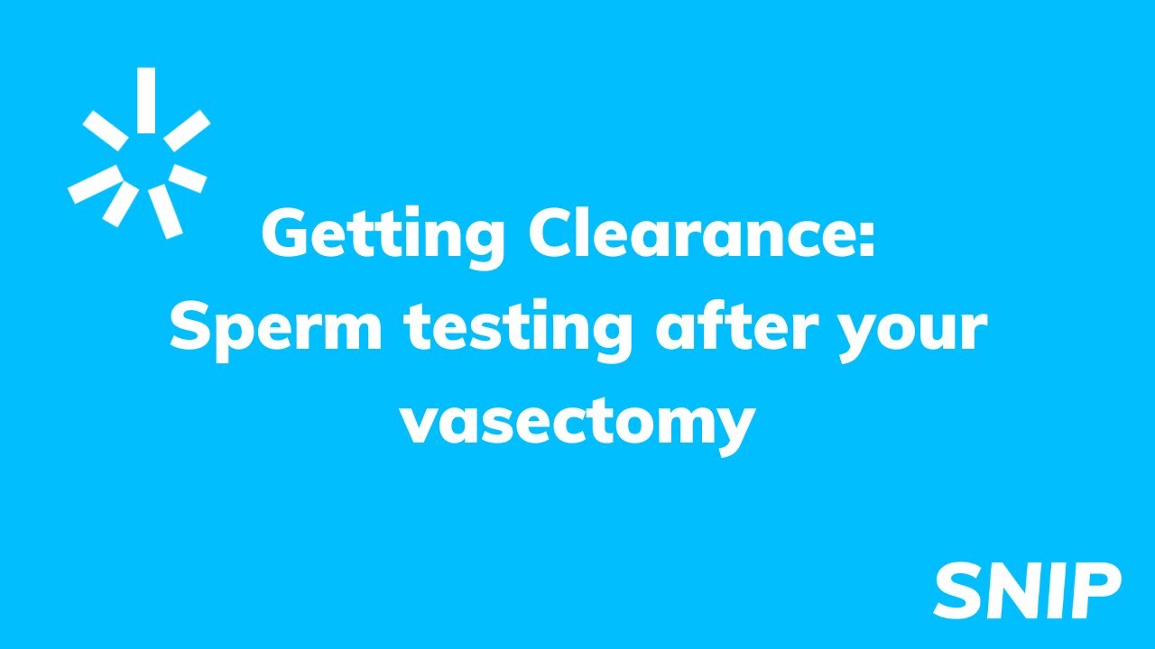 Sperm Testing After Your Vasectomy Youtube