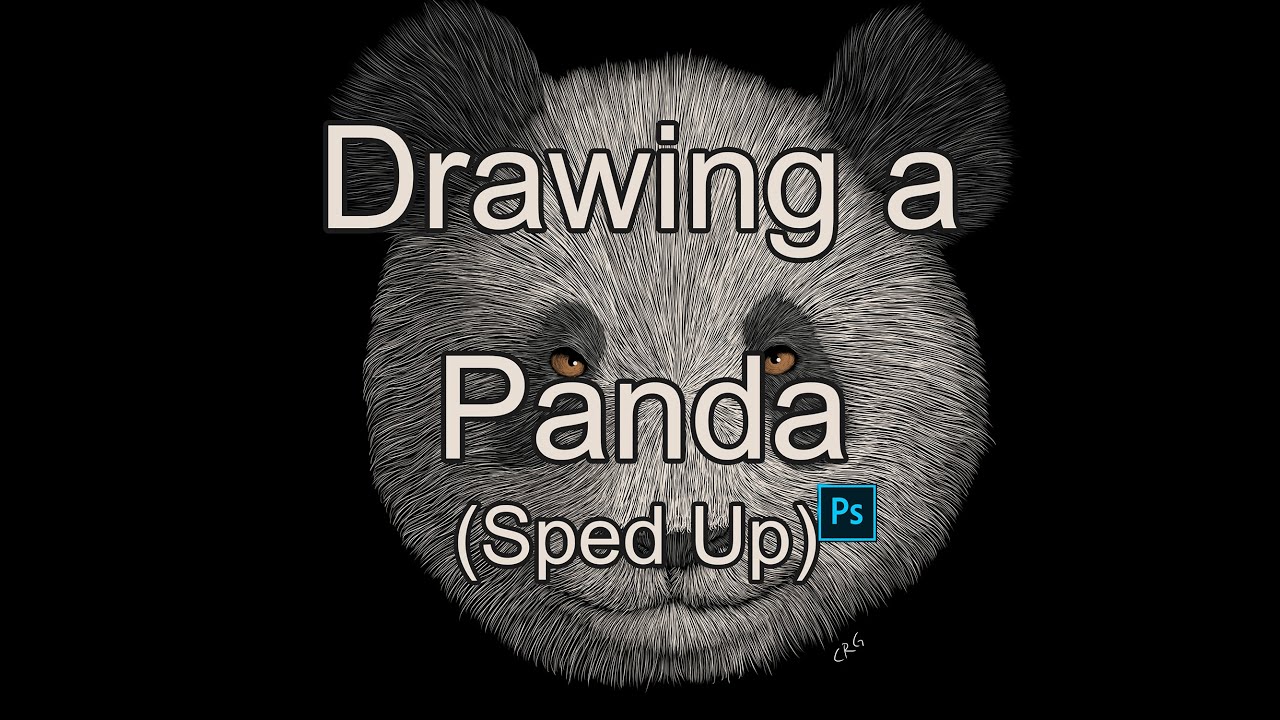 How to Draw a Panda (Sped Up) - YouTube