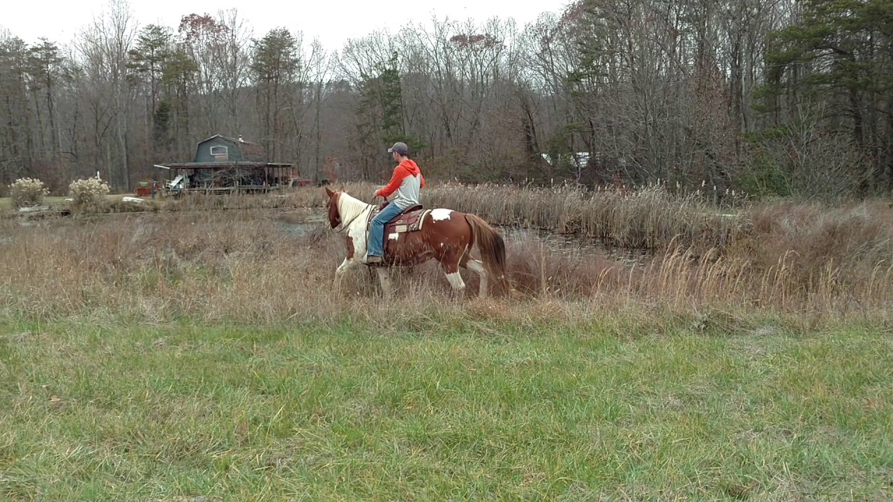 Ringo Riding - YouTube