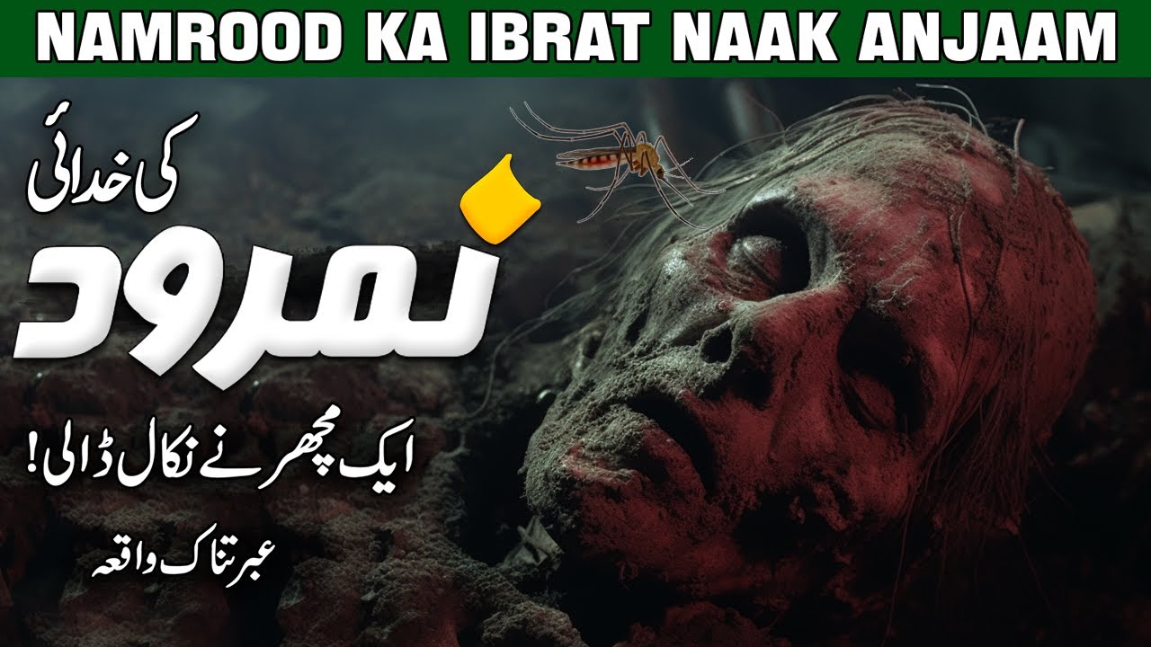 Namrood Ki Khudai Our Eska Injaam | Namrood Ki Mot Kesy Hoi | Namrood ...