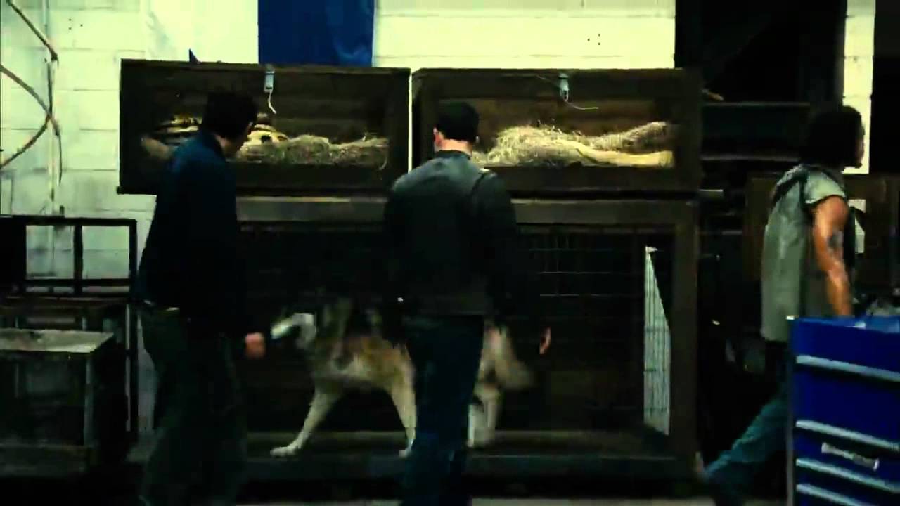 Contraband - Trailer español HD - YouTube