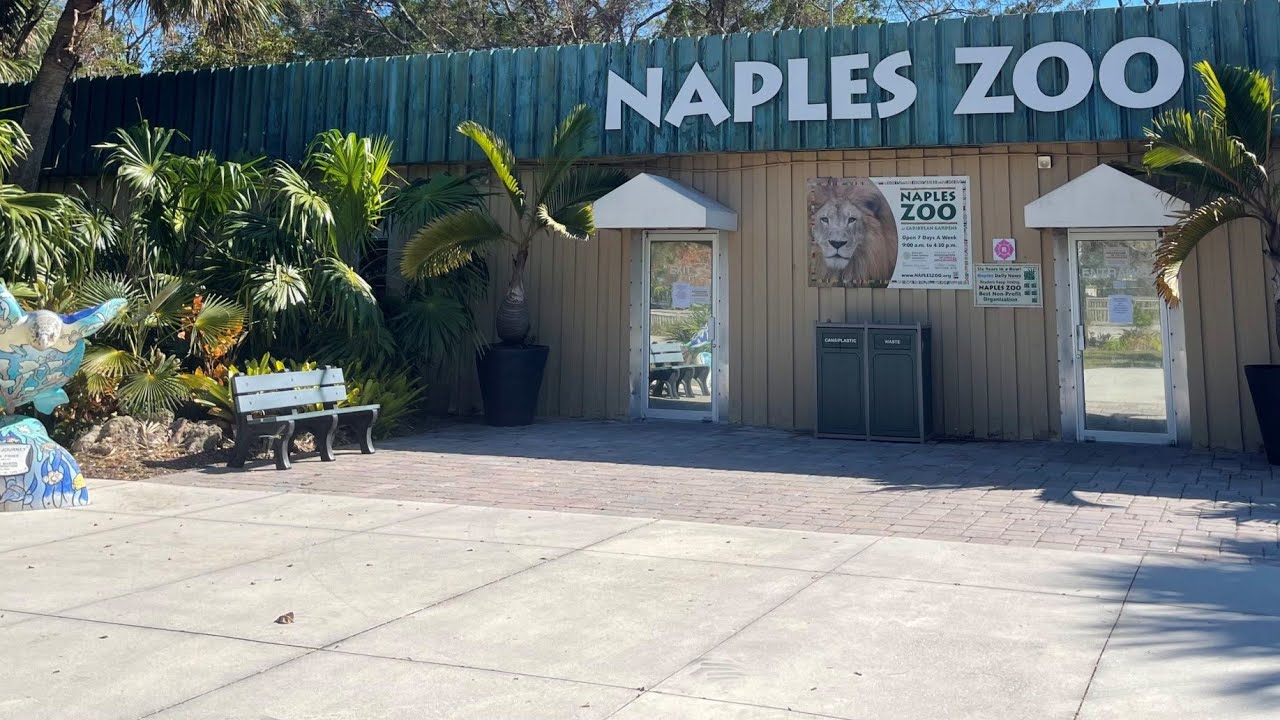 Naples Zoo 6/3/2023 - YouTube