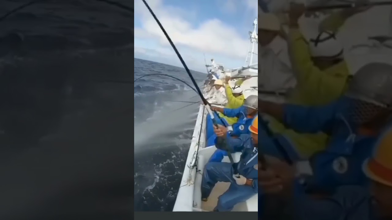 catching TUNA in the middle of pacific ocean #shortvideo #fishing # ...