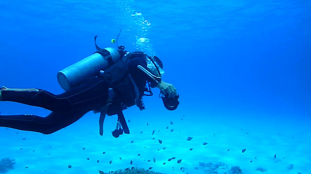 Scuba Diving Kerama, Zamami Island, Okinawa Japan,( Continue)4 - YouTube