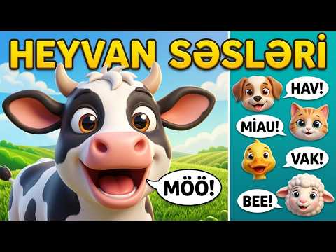 Heyvanlar Nə Deyir? 🐱 | Balacalar Üçün Yeni Mahnı