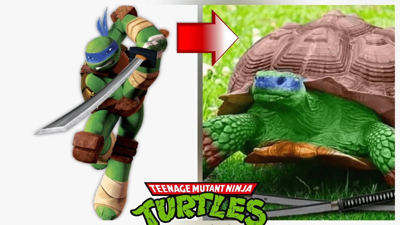 Teenage Mutant Ninja Turtles | All Characters In Real Life - YouTube