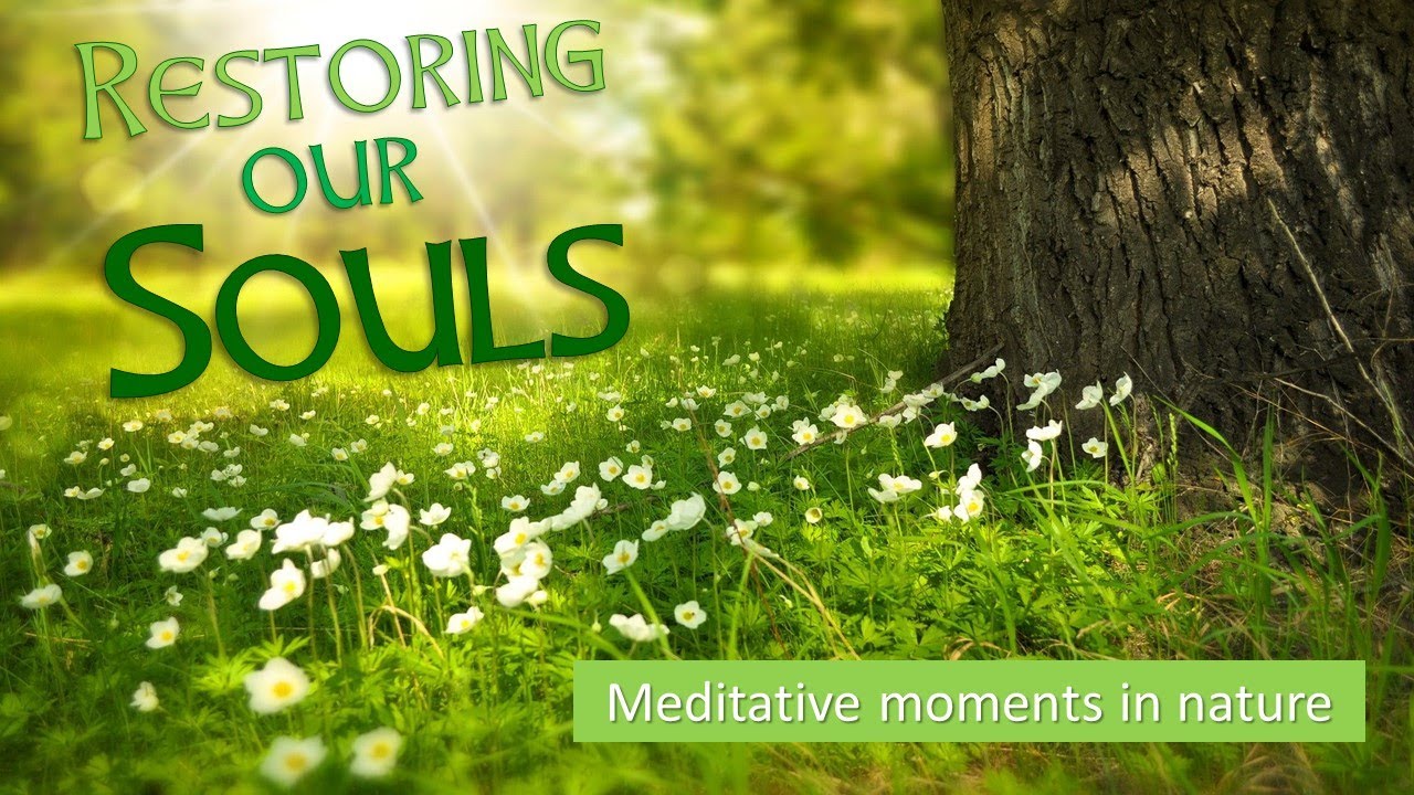Restoring our Souls : Meditative Moments in Nature - YouTube