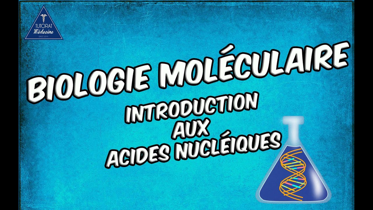 Introduction aux acides nucléiques - YouTube