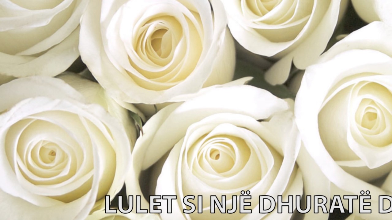 Report Tv -Rreze Dielli, Lulet si nje dhurate dhe kuptimi i tyre - YouTube