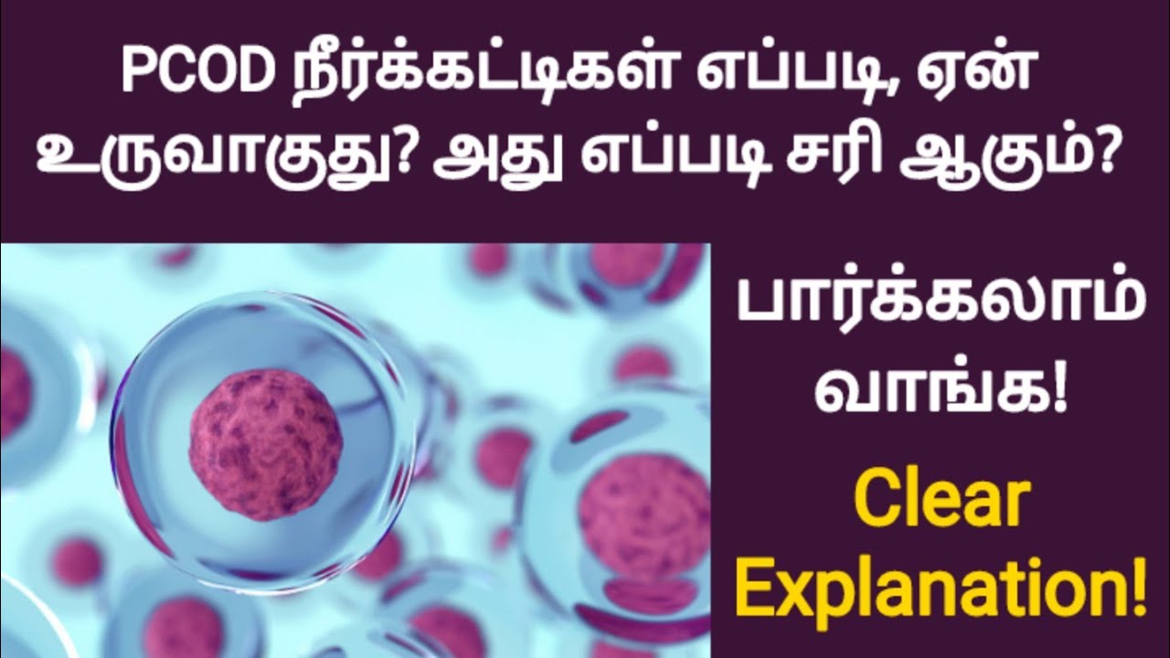 How Pcod Problem Occurs And Cured In Tamil Fast Pregnancy Tips In how-pcod-problem-occurs-and-cured-in-tamil-fast-pregnancy-tips-in