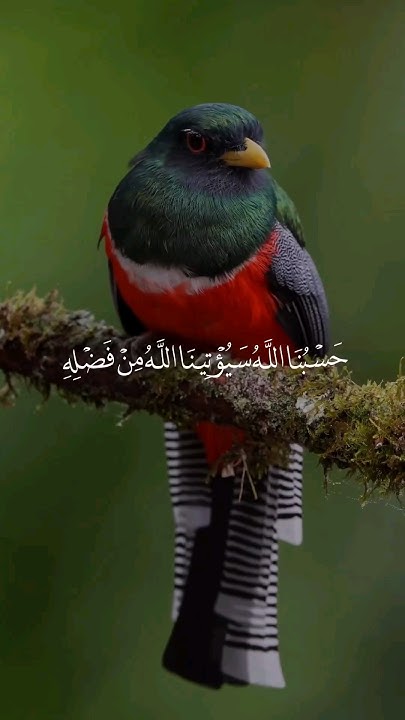 حسبنا الله سيؤتينا الله من فضله ورسوله إنا إلى راغبون Youtube