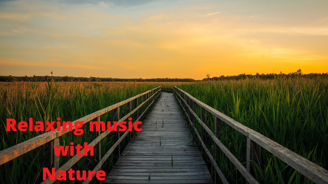 Relaxing music~Nature~Feelings~Birds~Relaxing music changes mood~Nature ...
