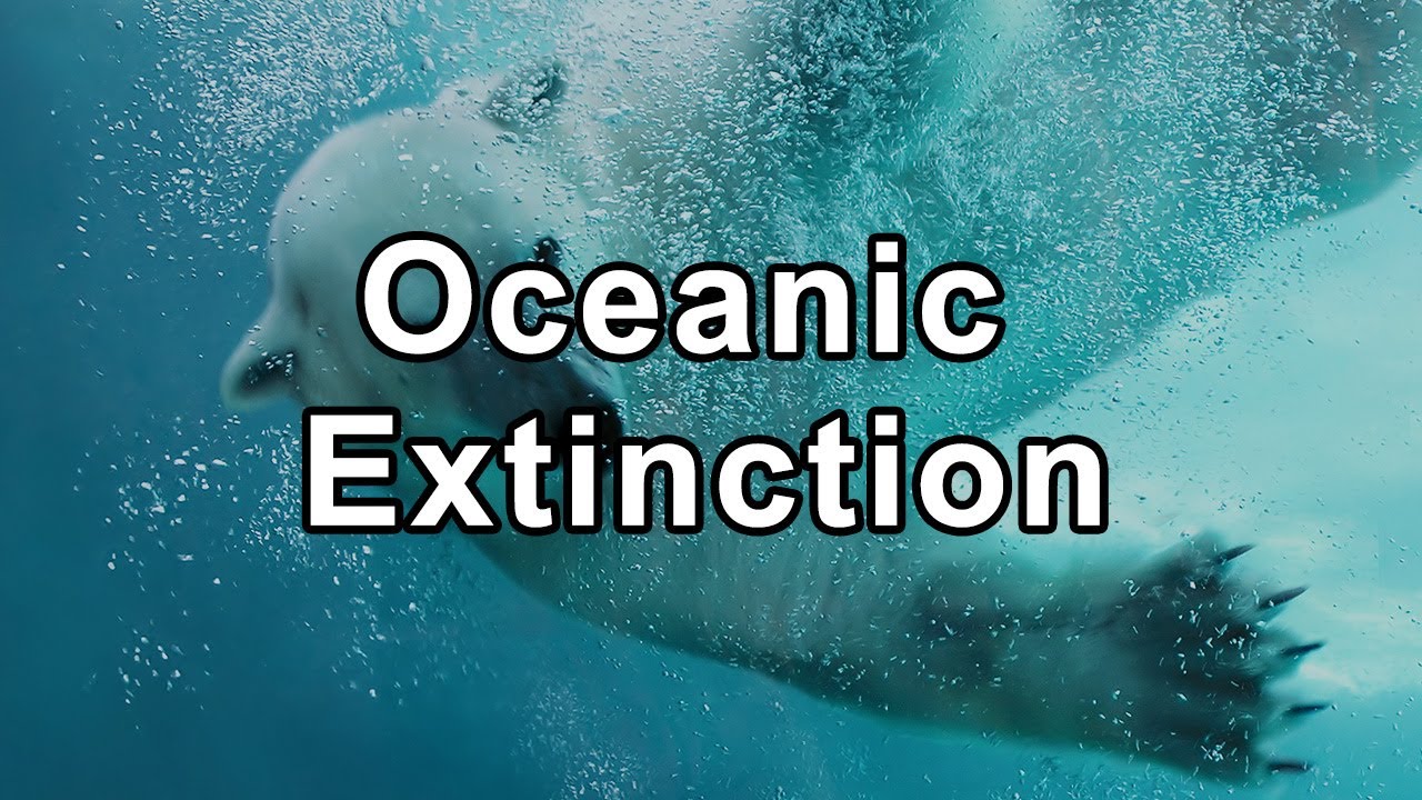 The Precipice of Oceanic Extinction: An Urgent Call for Change - YouTube