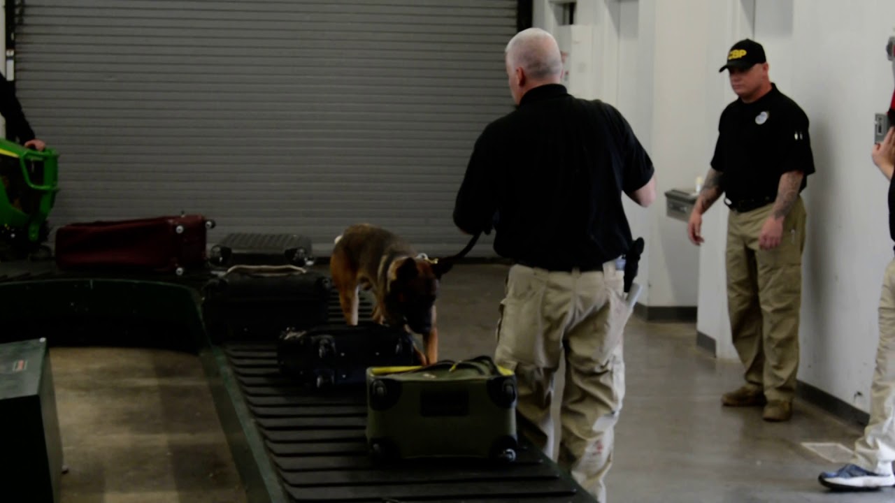 2015-10-13-DSC 0165-K9 DEMONSTRATION AT CBP K9 TRAINING CENTER FRONT ...