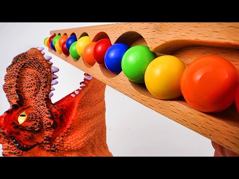 T-Rex Marble Run Race ASMR # 2 ☆ Mouth Menace ☆ Creative Healing Sound DIY Build