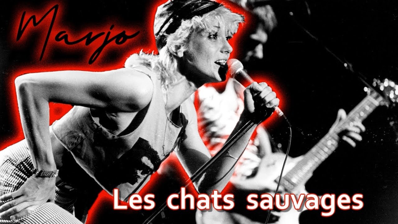 Marjo Les chats sauvages Karaoke - YouTube