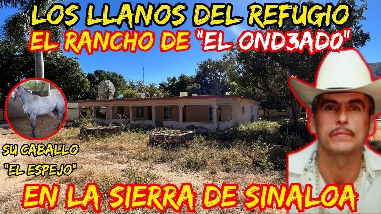 Rancho de manu3l t0rres, el M1 en los Llanos Del Refugio en sinaloa ...