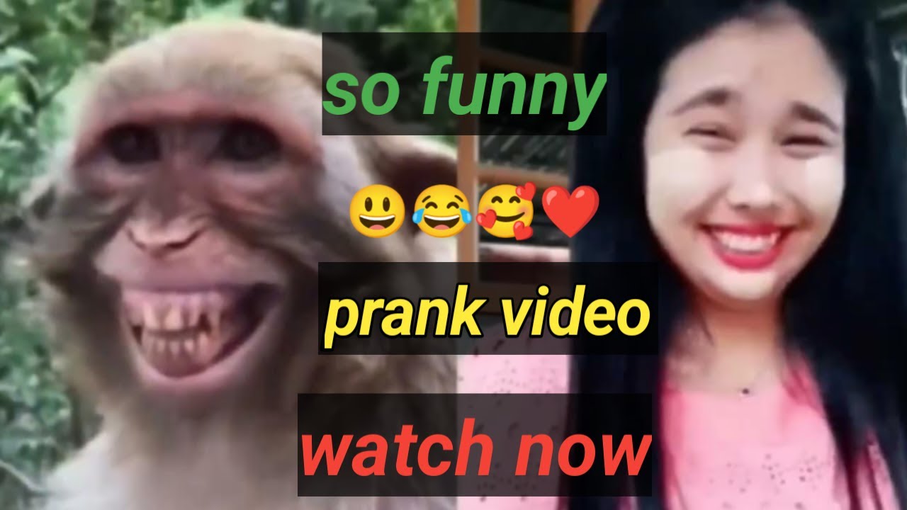 prank | prank video | fake tiger prank on a dog | fake prank | funny ...