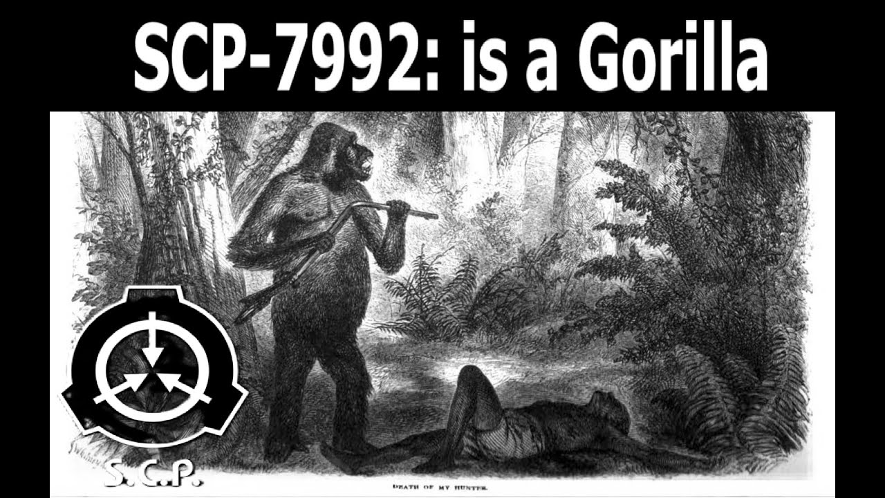 SCP-7992: IS A GORILLA | Euclid - YouTube
