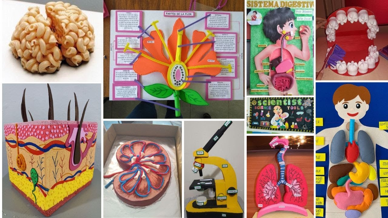 Science class room decoration ideas / Science lab decoration ideas ...