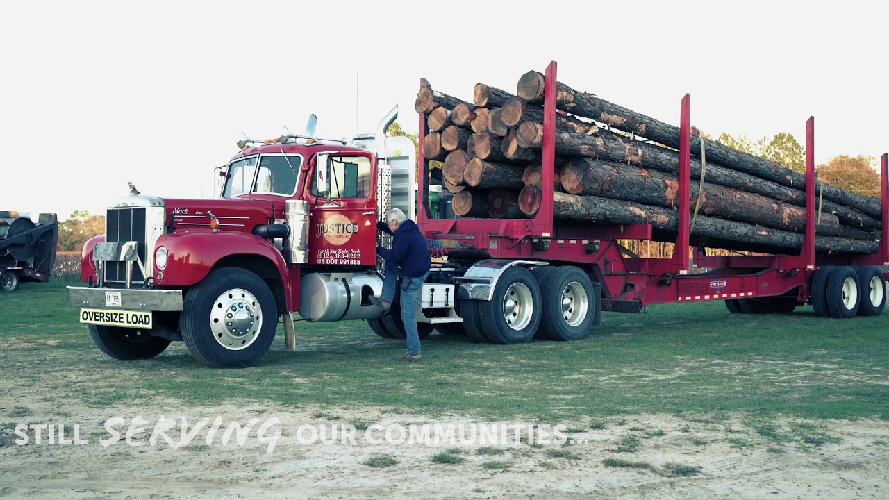 Georgia's Forests: Still Working for You - YouTube
