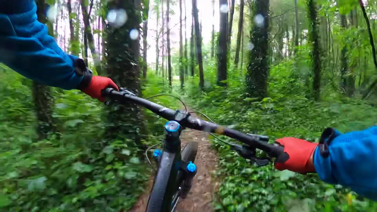 Glenbower Woods 23-Jun-20 - YouTube