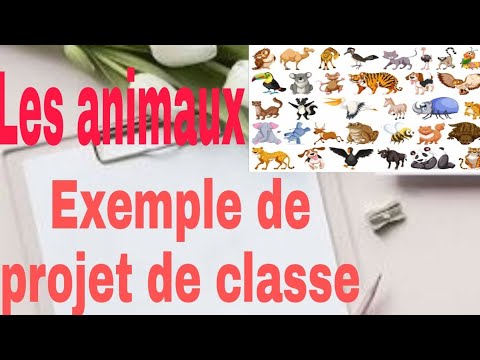 Exemple de projet de classe CE1/CP - YouTube