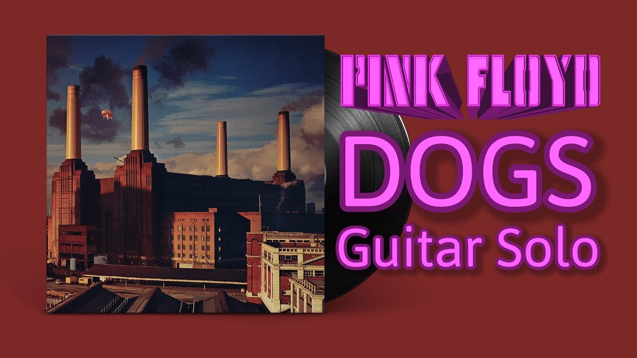 Pink Floyd - "Dogs" Main Guitar Solo - YouTube