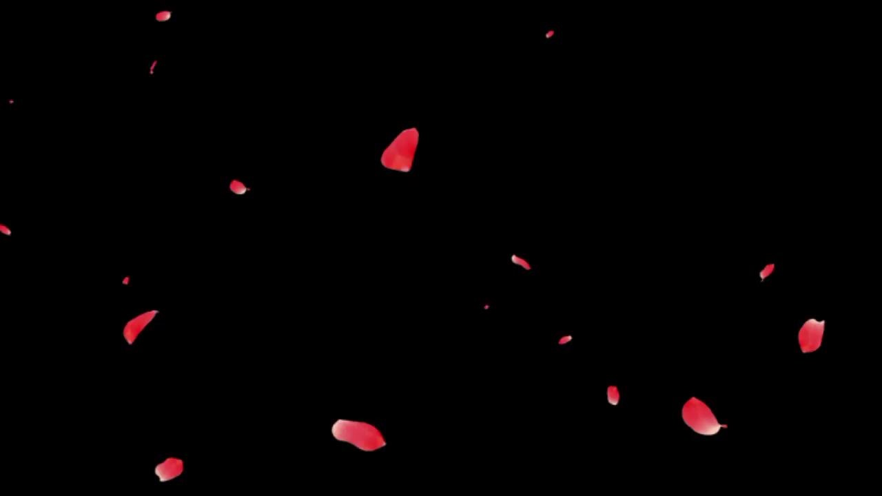 Live streaming of manelien's vlog - YouTube