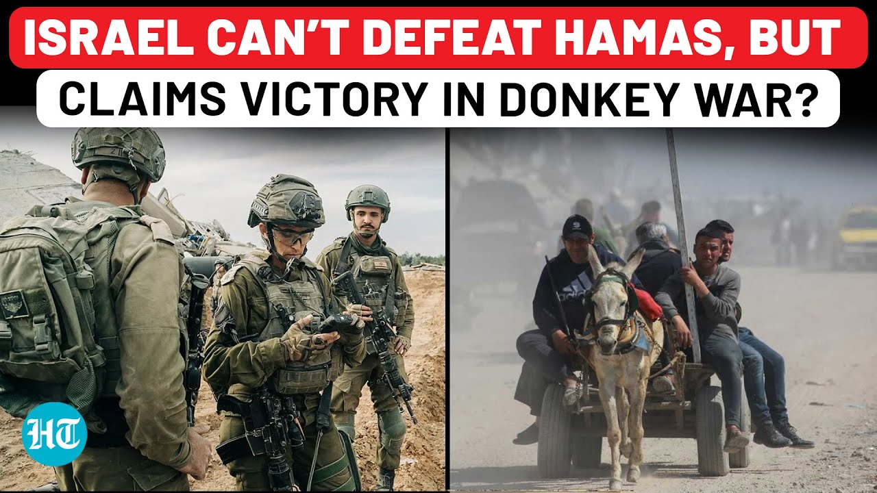 'Rattled' Israel Loses Ground to Hamas, Wins War on Donkeys? Gaza ...