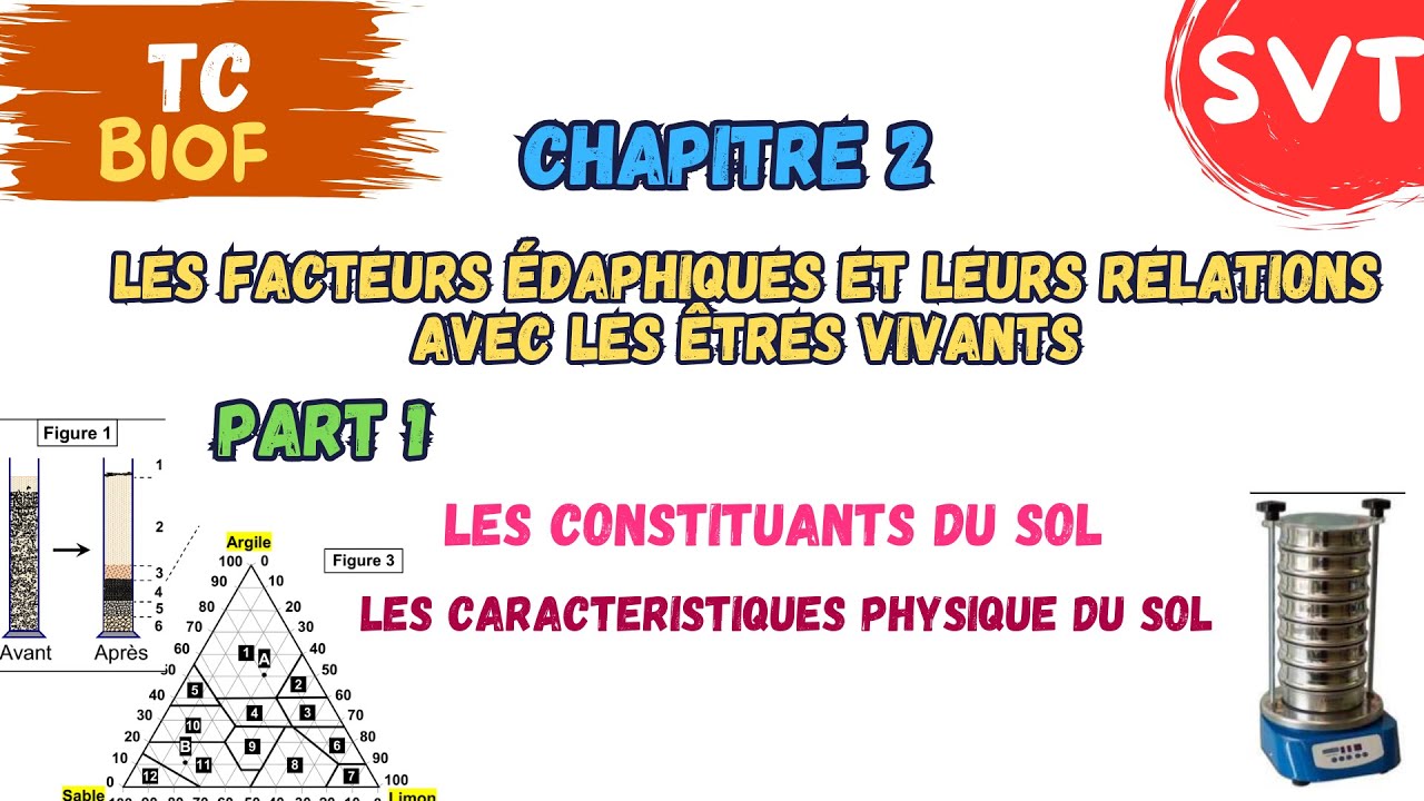 TCS SVT | Chap 2: Les Facteurs édaphiques| part 1: les constituants du ...